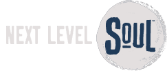 Introduction to the Next Level Soul Podcast with Alex Ferrari