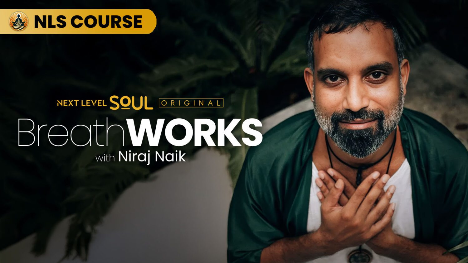 Next Level Soul | Streaming Light to the World - Next Level Soul